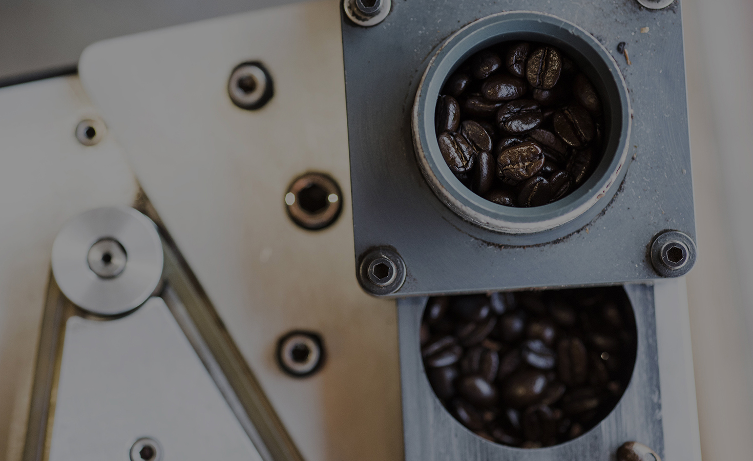 Home - Kaladi Coffee Roasters - Denver, Colorado Coffee