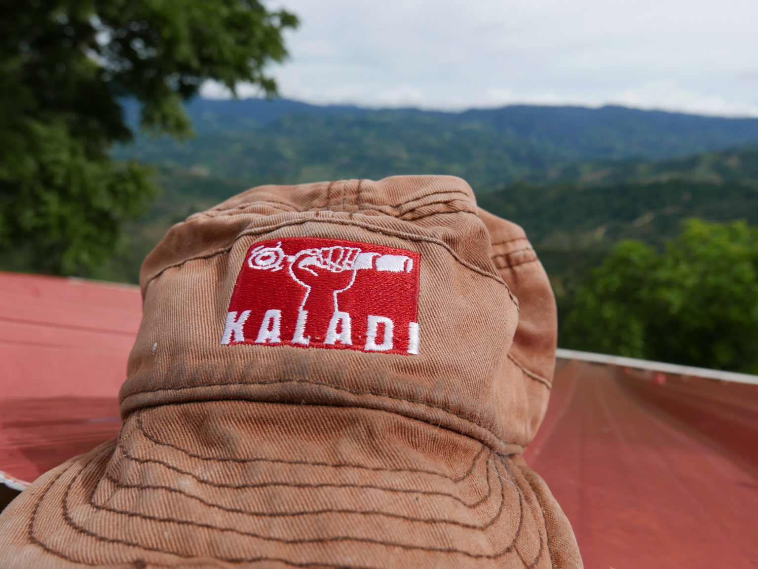 Kaladi Coffee Roasters | Air Roasted Coffee In Colorado